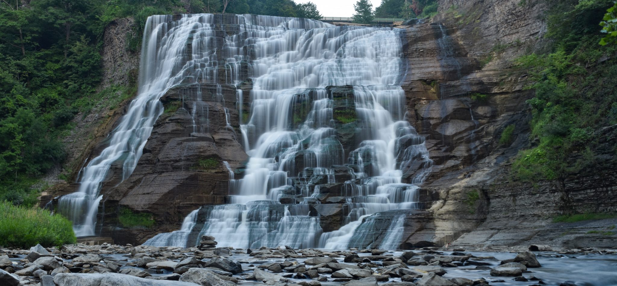 About Us | Community Science Institute