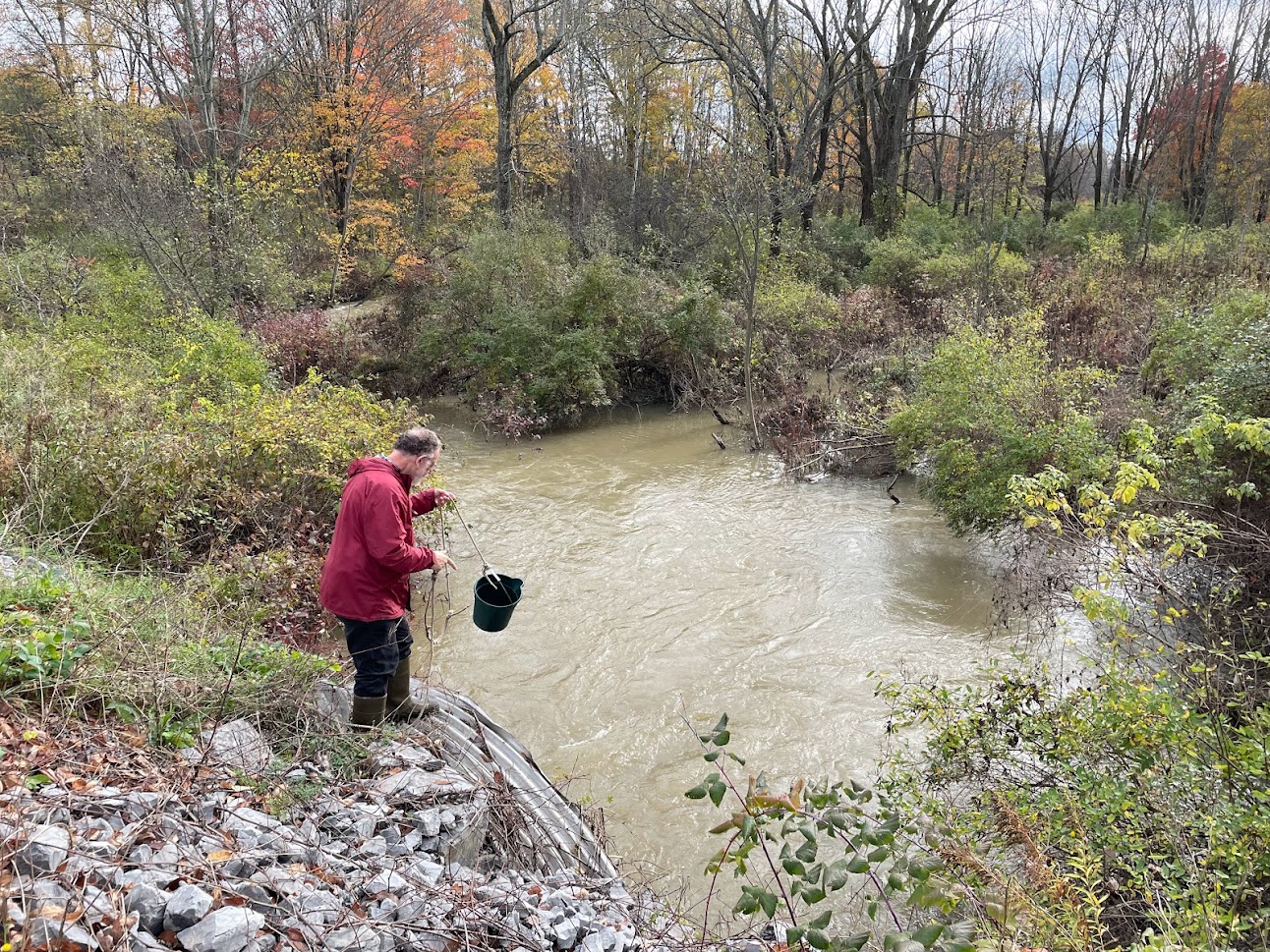 Volunteer With Us! | Community Science Institute