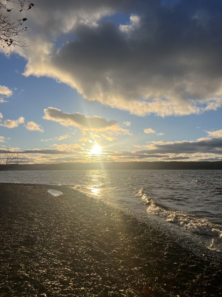 Community Science Institute | Community Science Institute