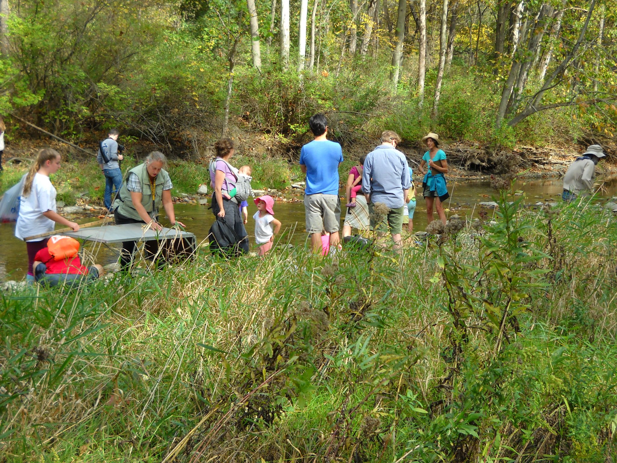 Community Science Institute | Community Science Institute