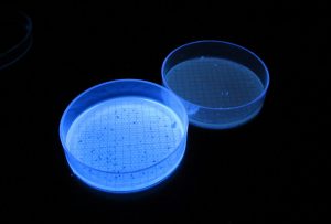 Community Science Institute | Community Science Institute